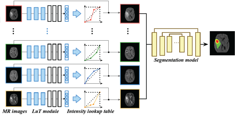 Imaging analysis and AI - Digital Sciences Initiative
